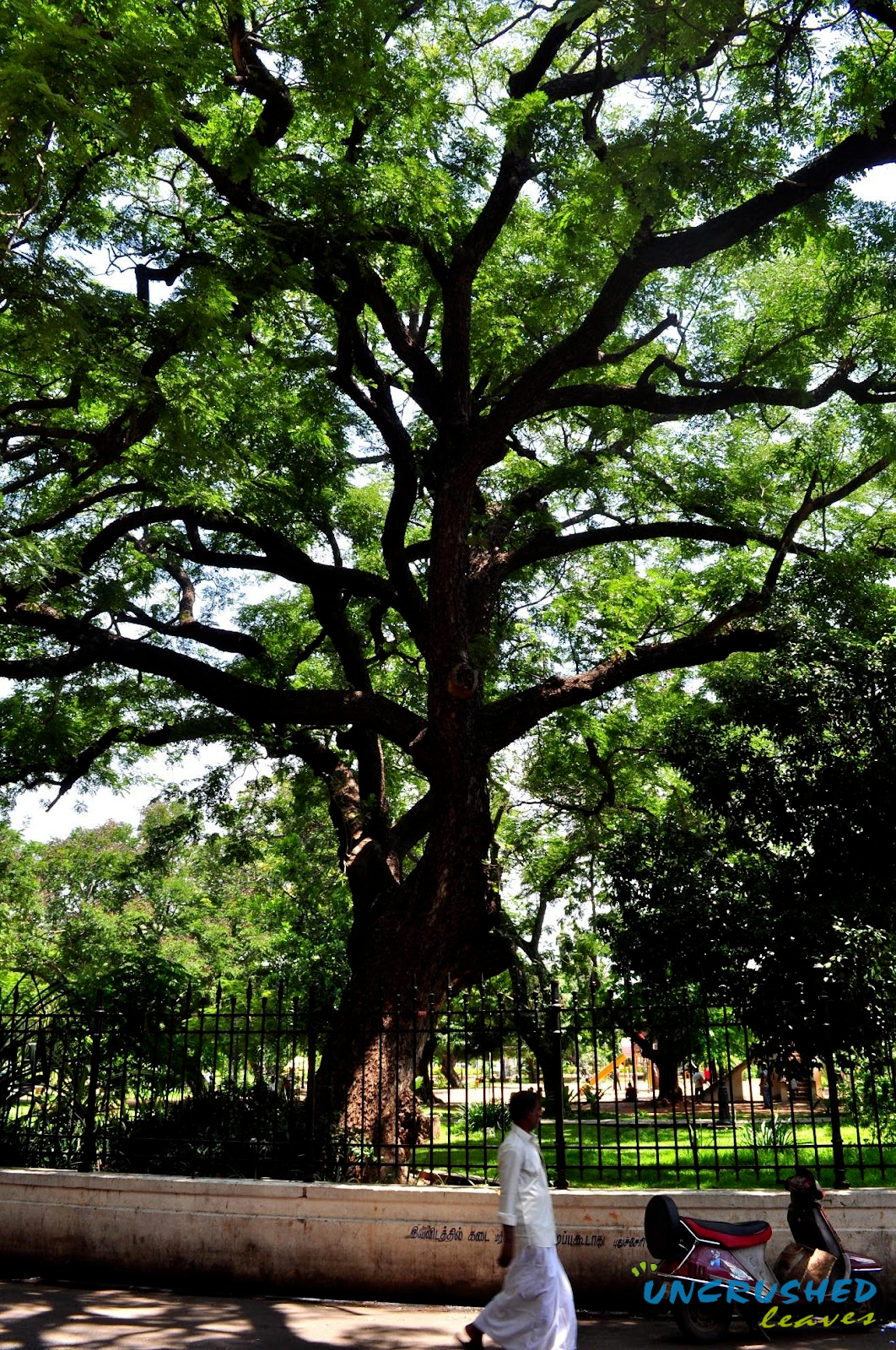 Pondicherry - Beaches - UcL Places - UnCrushedLeaves
